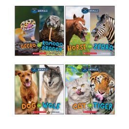 Wild World: Pet or Wild Animal