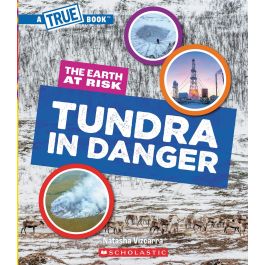 Tundra in Danger (A True Book: The Earth at Risk)